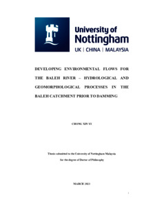 Developing environmental flows for the Baleh River – hydrological and ...